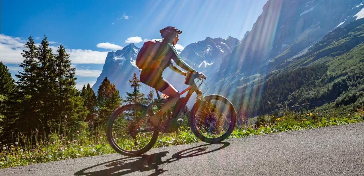 Rezdy Booking Platform Integration | Flywire