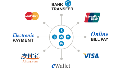 Como pagar a una empresa con Flywire | Flywire